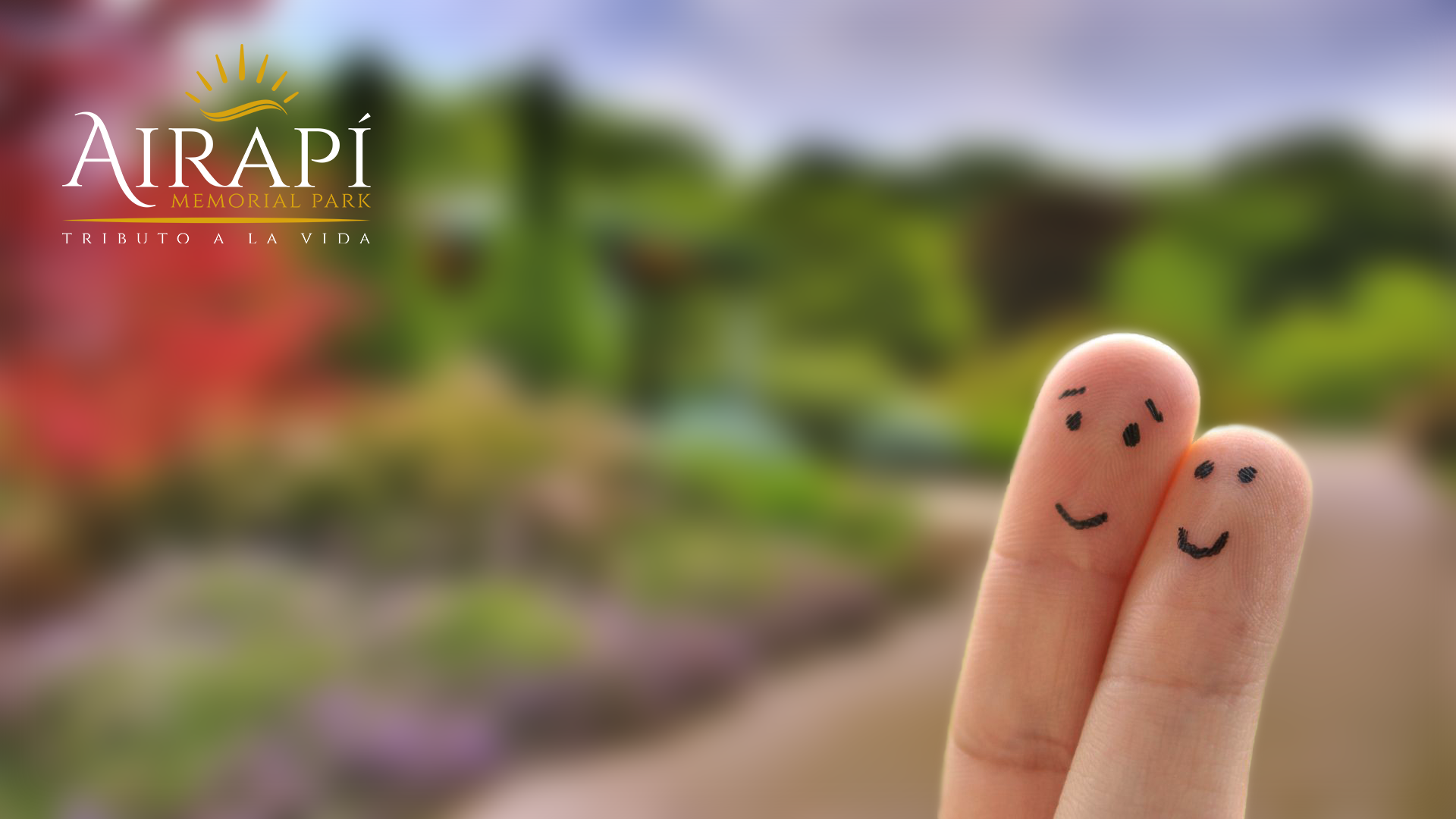 Volver a ser feliz - blog - Airapí Memorial Park